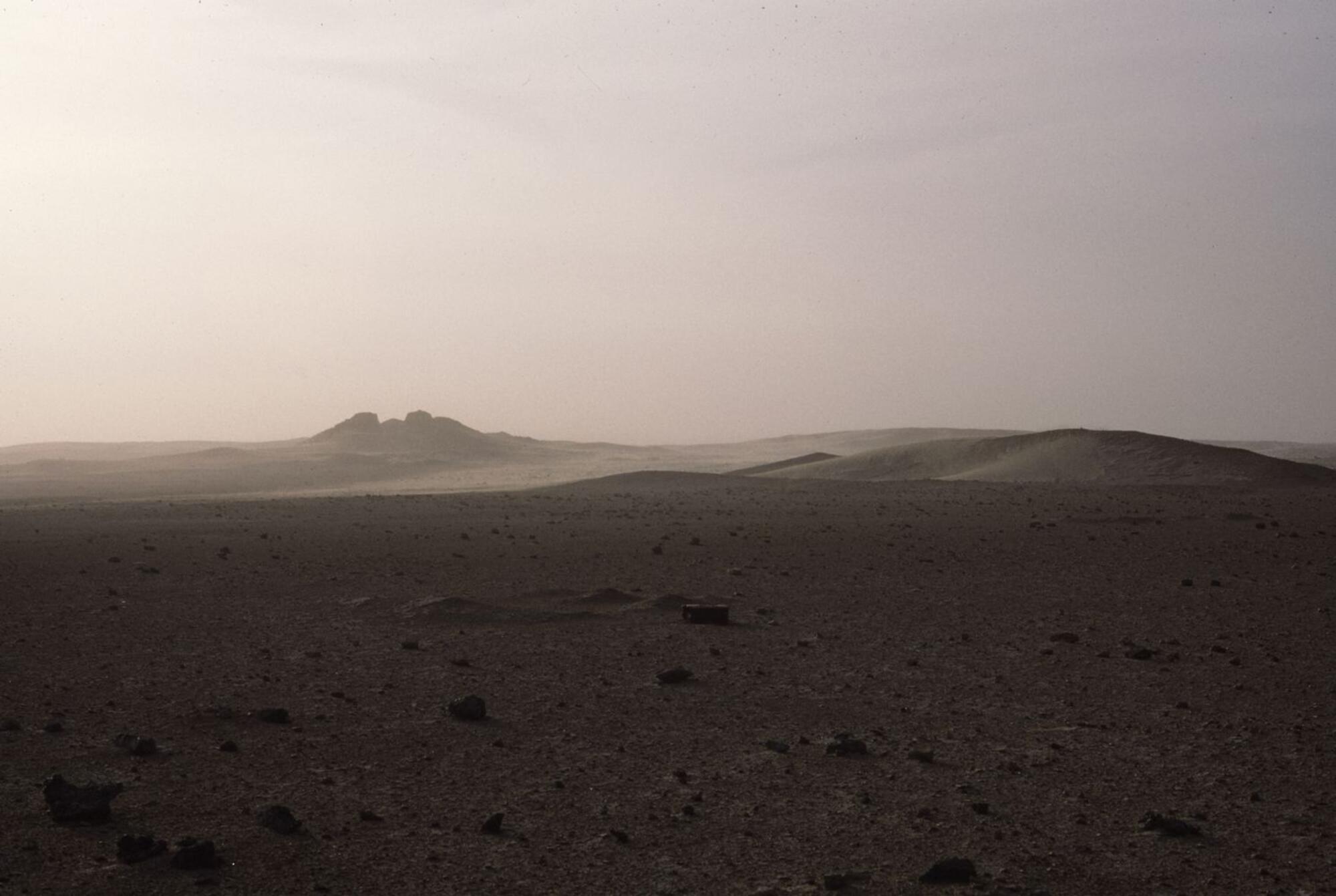 Larsa | Archéologie | culture.fr